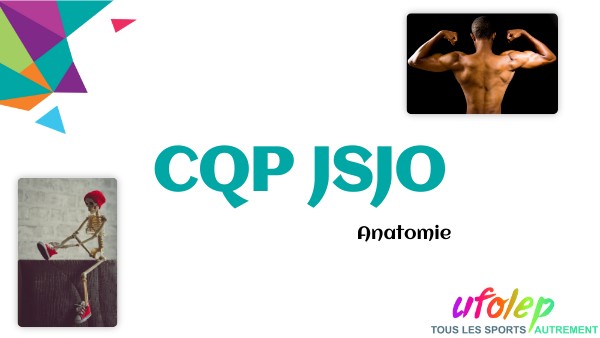 ANATOMIE_muscle et os | Genially