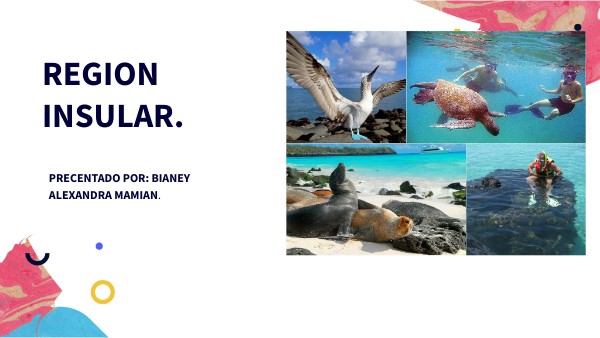 REGION INSULAR