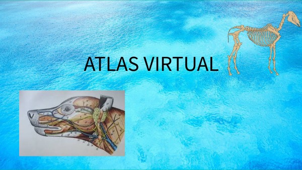 Atlas Virtual