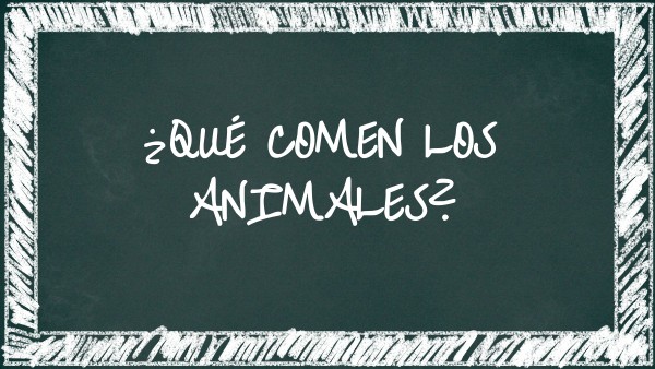 ¿Qué comen los animales? | Genially