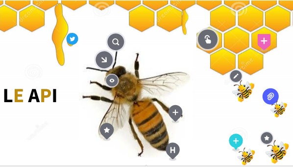 LE API | Genially