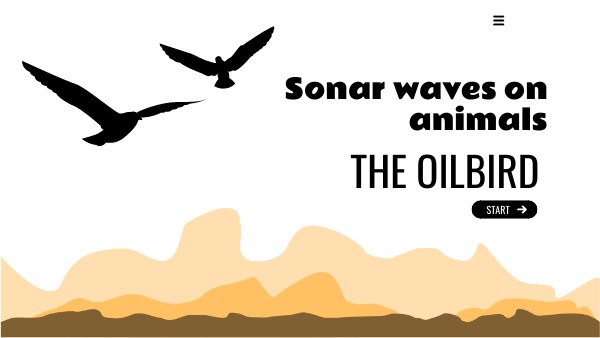 The Oilbird presentation | Genially