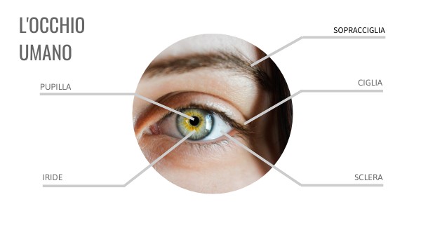 Interactive Eye | Genially