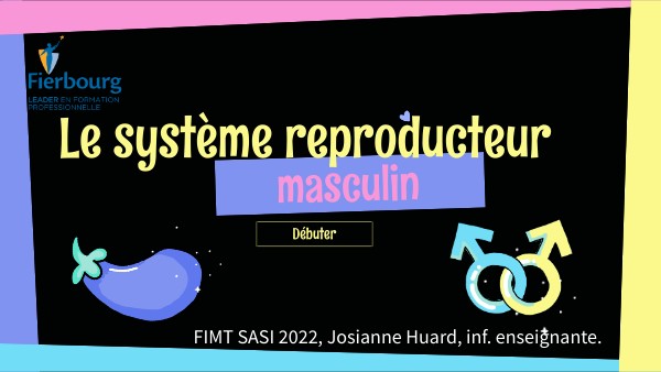 Le système reproducteur masculin.