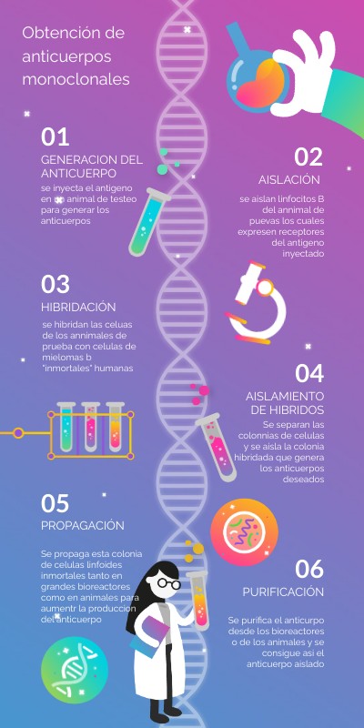 Infografia anticuerpos monoclonales