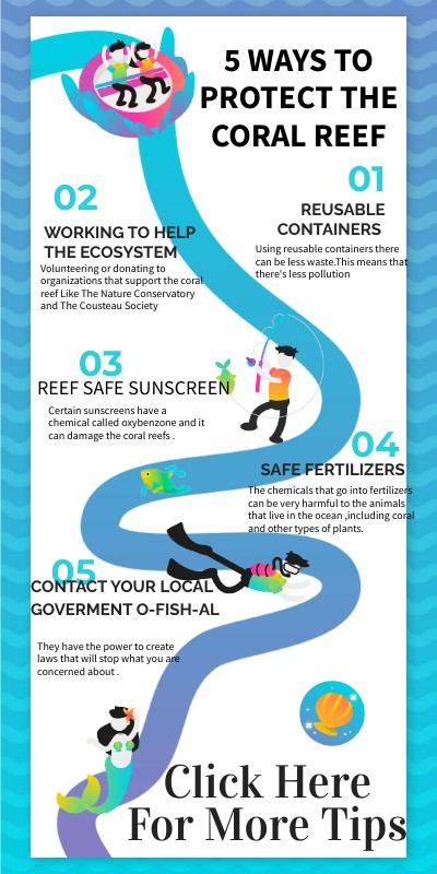 Coral Reef Quick Tips