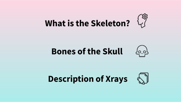 Skeleton / Skull / Description of Xrays | Genially