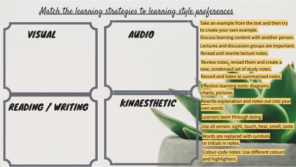 Learning Styles | Genially