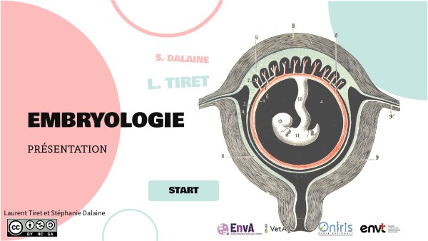 BACK UP EMBRYO | Genially