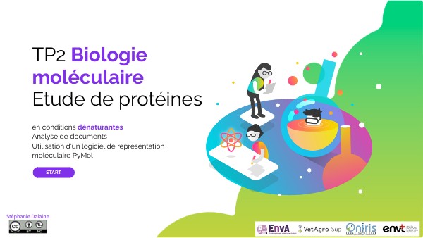 UC0111_TP2_biomol | Genially