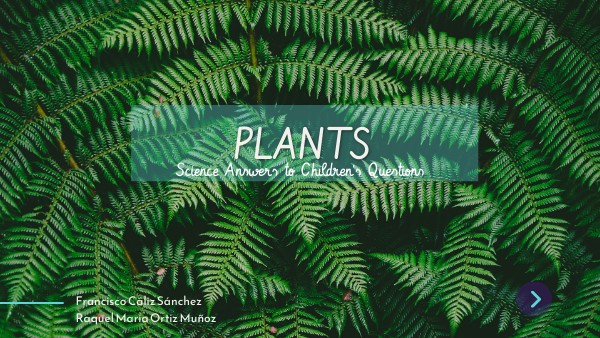 Plants' project presentation