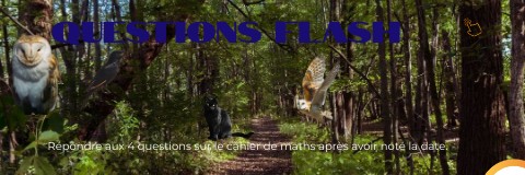 Questions Flash 13 N°2 | Genially