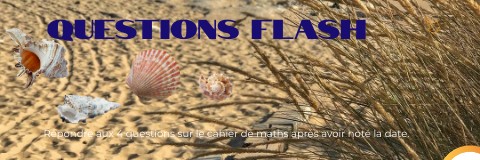 Questions Flash 13 N°1