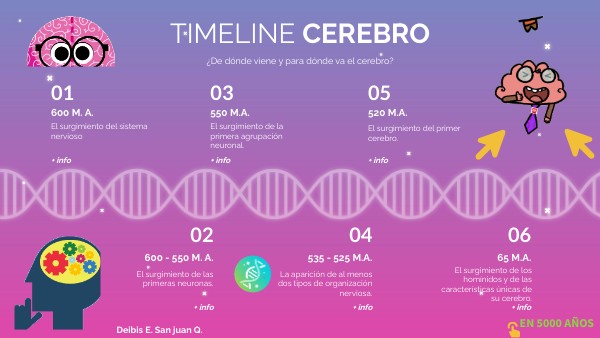 ¿De dónde viene y para dónde va el cerebro? | Genially