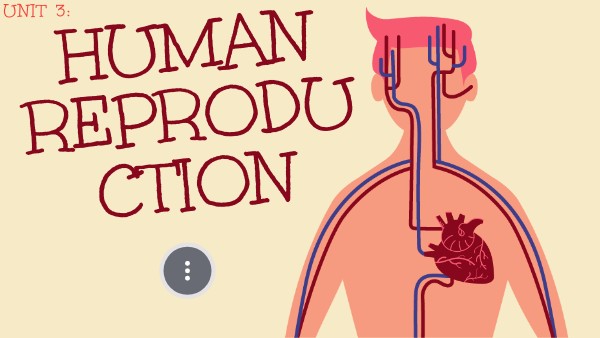human reproduction | Genially