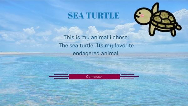 SEA TURTLE SCIENCE PRESENTATION 1º