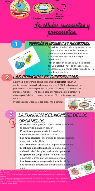 INFO GENIAL VIBRANT