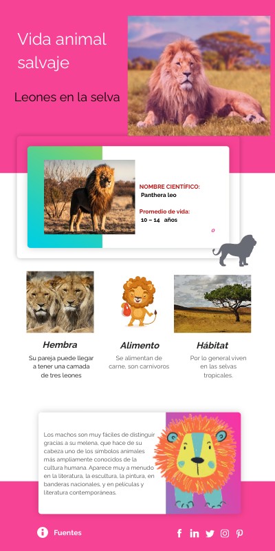 VIDA SALVAJE-león | Genially