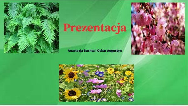 Mchy, Paprotniki, Nasienne | Genially