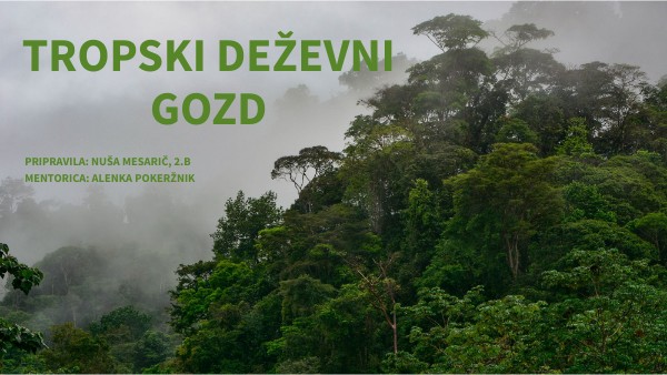 Tropski deževni gozd | Genially