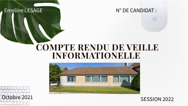 Veille informationelle | Genially