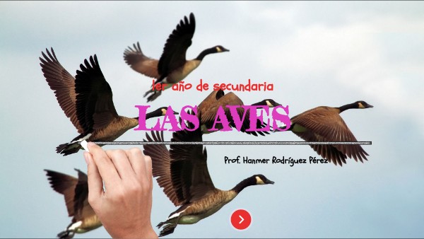 LAS AVES | Genially