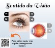 Sentido da Visão | Genially