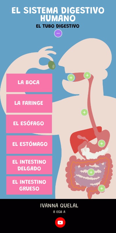 Proyecto Final 2do Quimestre | Genially