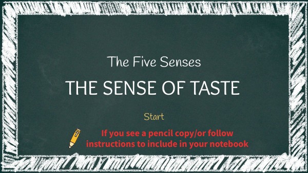 The sense of taste | Genially