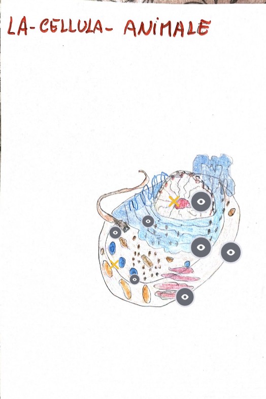 LA CELLULA ANIMALE