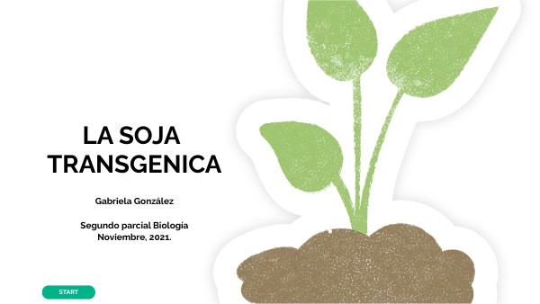 Soja Transgénica | Genially