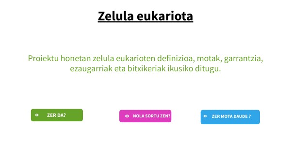Zelula eukariota