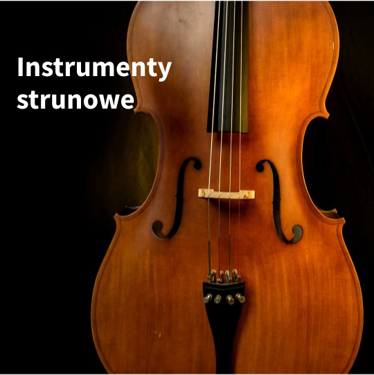 Instrumenty strunowe