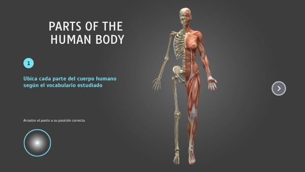PARTS OF HUMAN BODY | Genially