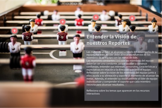 Vision de Reportes | Genially