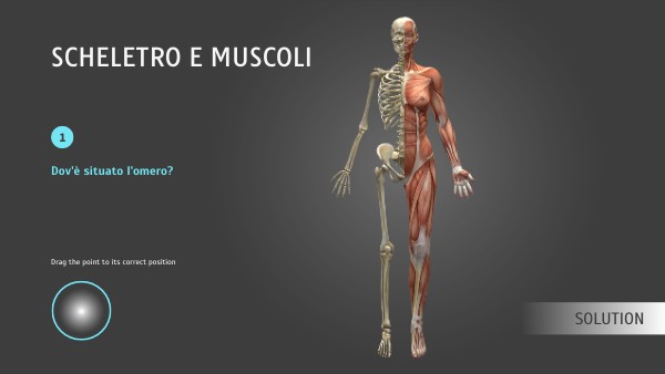 Ossa e muscoli PROVA | Genially