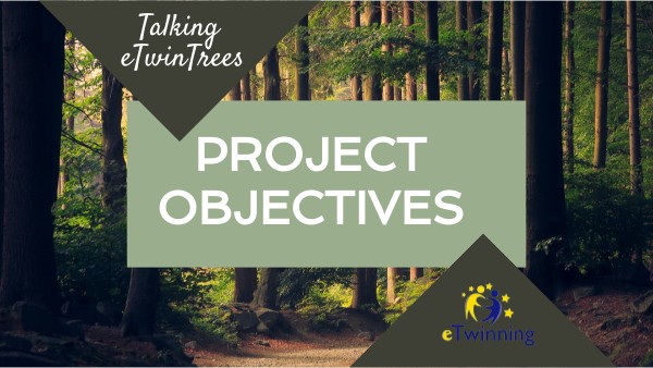 project objectives