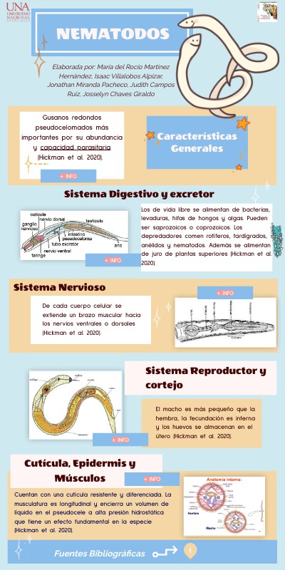 Nematodos | Genially