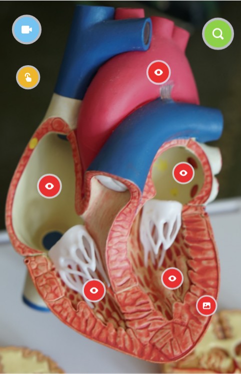 CUORE INTERATTIVO | Genially