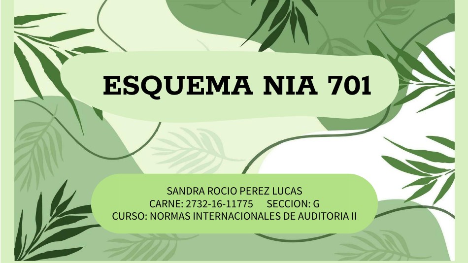 Esquema NIA 701 | Genially