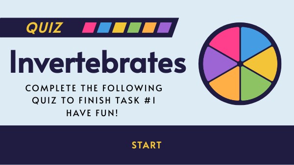 Invertebrates Quiz | Genially