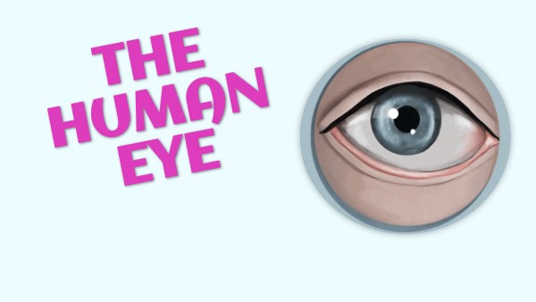 The human eye