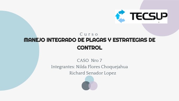 PRESENTACIÓN MIP EN MAIZ | Genially