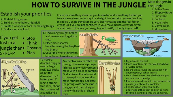 HOW TO SURVIVE IN THE JUNGLE | Genially