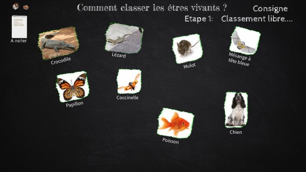 Principes de classification | Genially