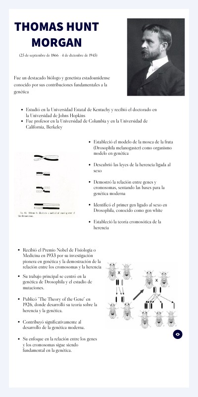 INFOGRAFÍA THOMAS HUNT MORGAN | Genially