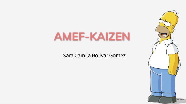 AMEF- KAISEN