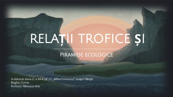 Relații trofice și piramide ecologice | Genially