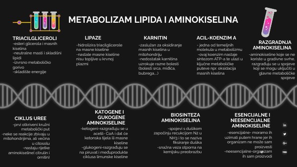 METABOLIZAM LIPIDA I AMINOKISELINA | Genially