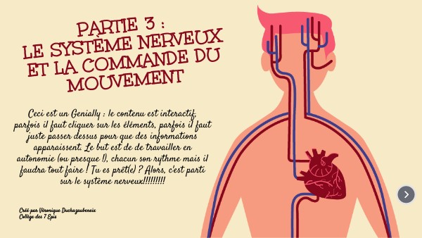 Le système nerveux 4ème | Genially